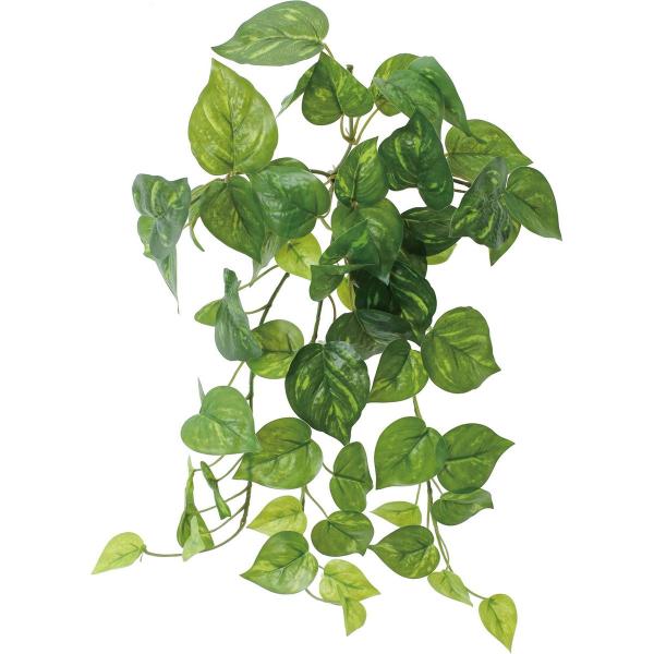 【商品番号：030-62266】/【VAR：】date20250211造花葉物、フェイクグリーン ポトス【横浜ディスプレイミュージアム】