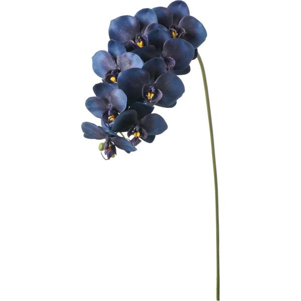 【商品番号：030-62853】/【VAR：】date20250728造花 花材「ら行」 ラン（蘭）・オーキッド【横浜ディスプレイミュージアム】