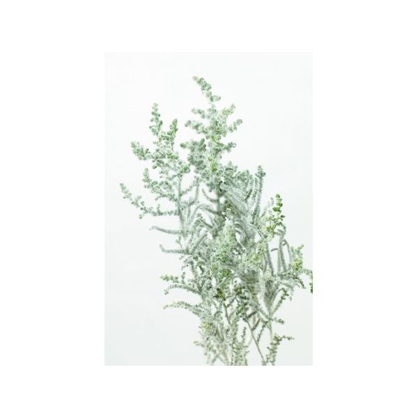 【商品番号：034-00118】/【VAR：4397】01760-706/4988489158367/2015haha-41/biridal_kikaku-26/15x-019/P17yes-009/16ha_p005/16pa014/ps...