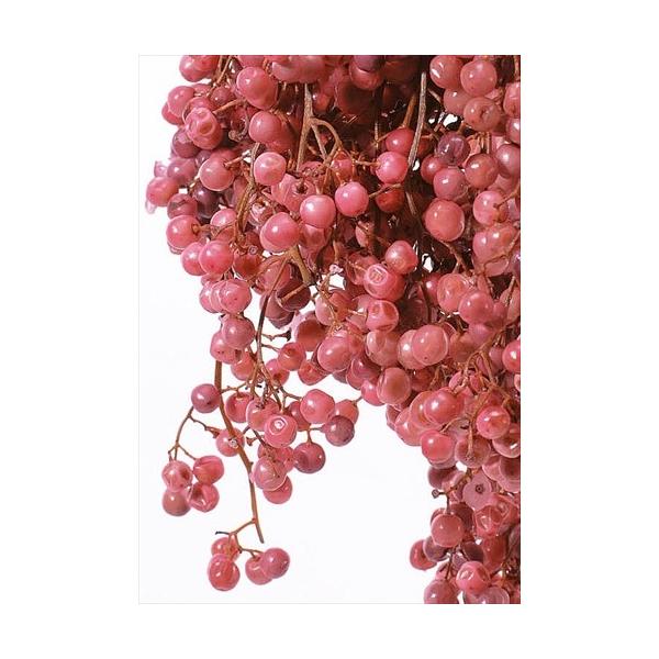 【商品番号：034-00343】/【VAR：4525】03380-100/4988489141420/mothersday_preserved/2015haha-41/chichinohi-16/biridal_kikaku-25/P17h...