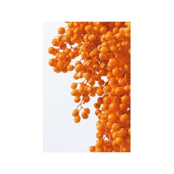 【商品番号：034-00347】/【VAR：4525】03380-350/4988489145626/xmas/16ha_p004/psum-008/bk-0045/P17haha-006/18hwdp1/tsukigawari/bk-10...