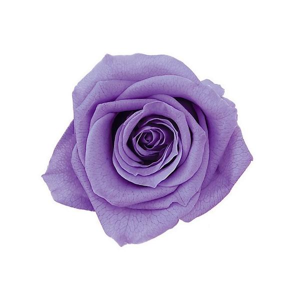 【商品番号：034-00372】/【VAR：1714】03480-411/4988489144254/chichinohi-13/16yes-014/bk-0021/18hwdp3/hahanohi/bk-3002/bk-4002プリザーブ...