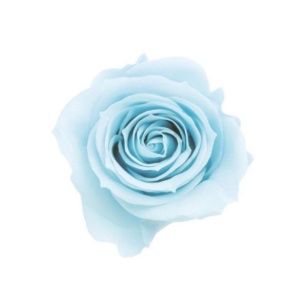 【商品番号：034-00376】/【VAR：1714】03480-621/4988489150873/ベストセラーローズ/sum2014/chichinohi-13/biridal_kikaku-22/16yes-014/16pa015/p...