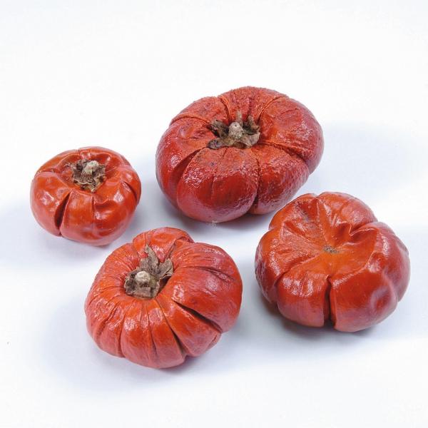 【商品番号：034-00536】/【VAR：】20112-000/4988489122429/hallo2014-02/aki_drypuri2015_012/16x-008/assortpd19ドライ実物＆フルーツ フルーツ、香りのアイテム