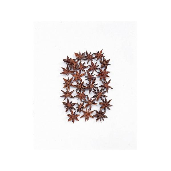 【商品番号：034-00537】/【VAR：4407】21020-001/4988489007436/mothersday_preserved/aki_drypuri2015_012/15x-024/15x-035/16yes-013/bk...