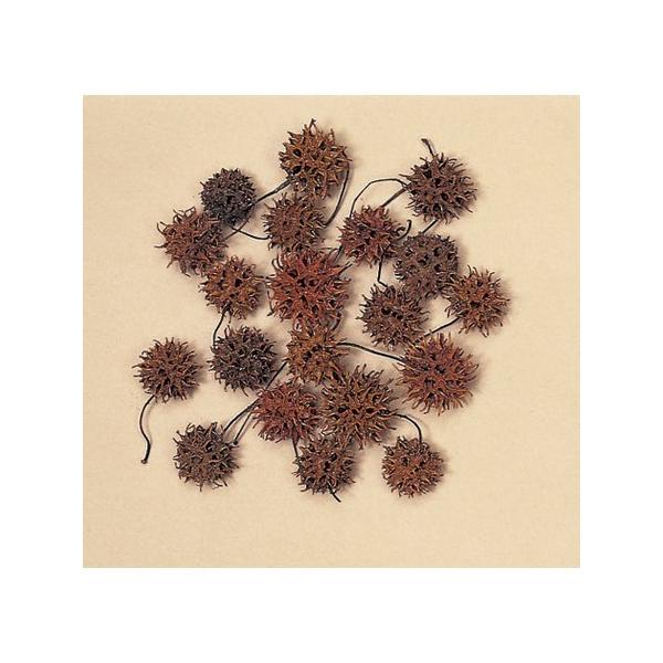 【商品番号：034-00724】/【VAR：4463】24320-000/4988489009737/xmas/16x-008ドライ実物＆フルーツ 木の実