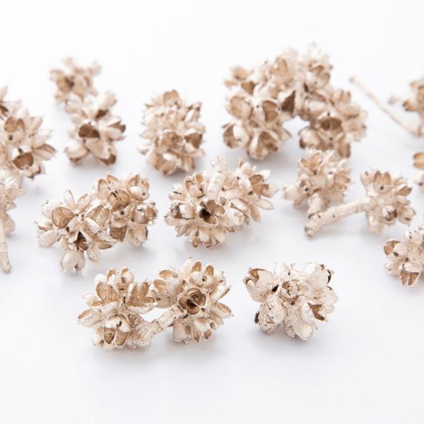 【商品番号：034-00759】/【VAR：4471】498848917285120170706new/15pny-006ドライ実物＆フルーツ 木の実