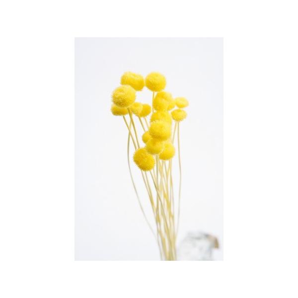 【商品番号：034-00802】/【VAR：1696】/30180-501/4988489157841/hallo2014-02/2015hina-03/chichinohi-12/16pa013/psum-008/bk-1108/bk-2...