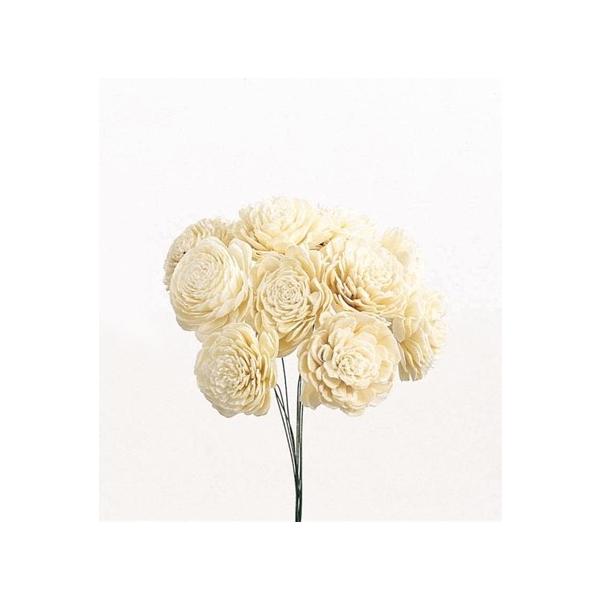 【商品番号：034-00833】/【VAR：65618】/32083-010/4988489012539/mothersday_preserved/16seijin-008/bk-0044/bk-3019ソラフラワー ソラローズ【大地農園】