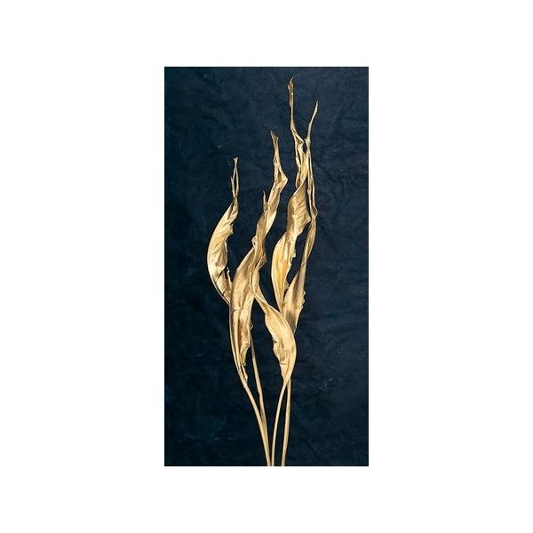 【商品番号：034-00918】/【VAR：59629】498848902199920170706new/15pny-006/opk-2019/15px-002/bk-4007ドライ葉物 リーフ