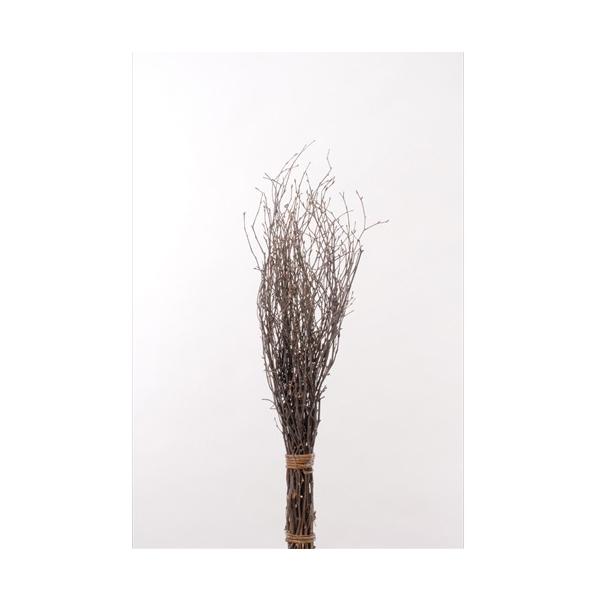 【商品番号：034-00926】/【VAR：4590】/50780-001/4988489024761/hallo2014-02/aki_drypuri2015_004/psum-010/msum-003/2019newyear/ドライ枝物...