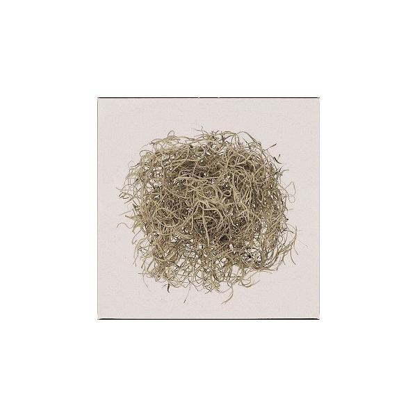 【商品番号：034-01052】/【VAR：1751】/61067-001/4988489033237/16hai003/16hai004/bk-3017ドライ葉物 モス・苔【大地農園】