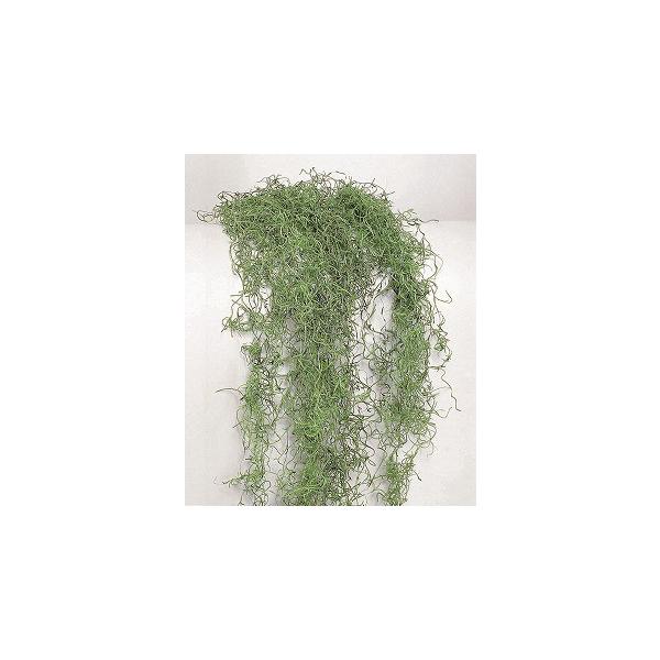 【商品番号：034-01054】/【VAR：4604】/61067-707/4988489055901/16hai003/16hai004/bk-3017プリザーブドグリーン モス・苔【大地農園】