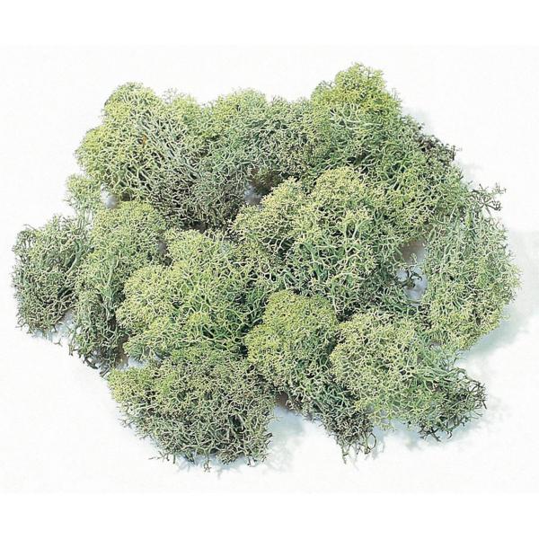 【商品番号：034-01056】/【VAR：4605】/61071-700/4988489033268/mothersday_preserved/biridal_kikaku-26/bk-0026/bk-2001/bk-3017/bk-40...