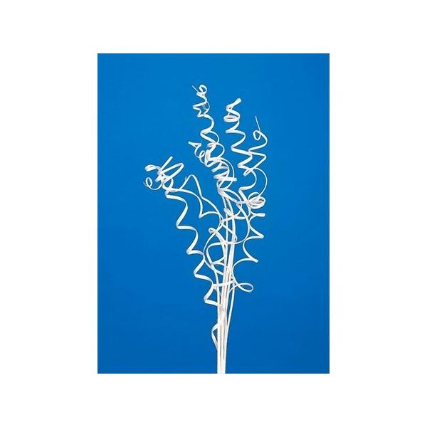 【商品番号：034-01913】/【VAR：77123】/50760-011/4988489024679/sum2014-06/psum-010/bk-3014ドライ枝物 塗り枝・サラシ・ドライ