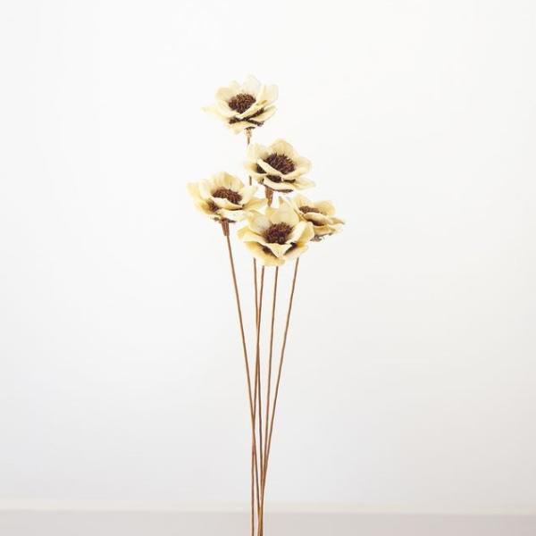 【商品番号：034-01919】/【VAR：】/51030-010/4988489046824/bk-0044/bk-3019ソラフラワー その他ソラフラワー