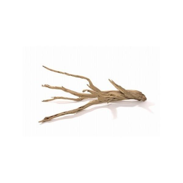 【商品番号：034-01940】/【VAR：67663】/52450-000/4988489120500/sum2014-06/bk-3014ドライ枝物 その他【大地農園】