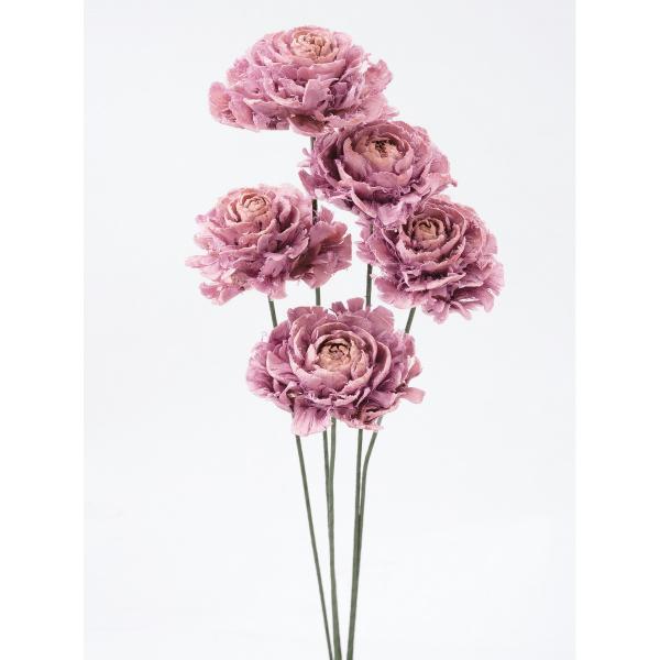 【商品番号：034-03573】/【VAR：4485】498848920016520170706new/bk-3019ソラフラワー ソラシダー