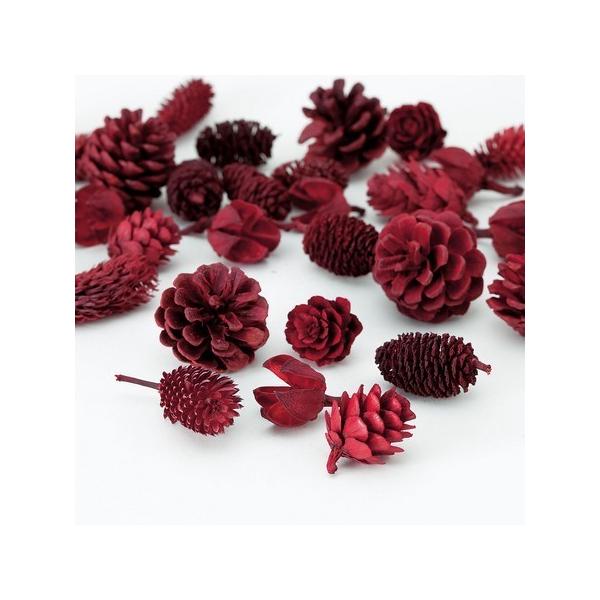 【商品番号：034-03722】/【VAR：22543】498848920356220170706new/assortpd19ドライ実物＆フルーツ 木の実【大地農園】