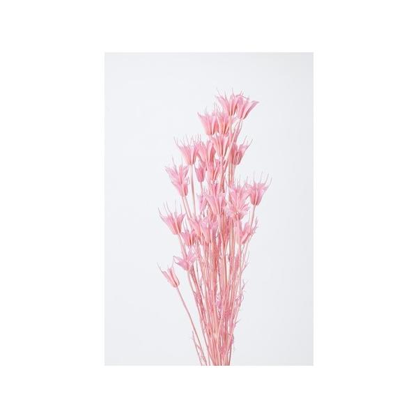 【商品番号：034-04096】/【VAR：4377】大地農園新商品201301/10380-181/4988489208406/cdid0005/cdid0011/2015haha-41/biridal_kikaku-25/P17haha...