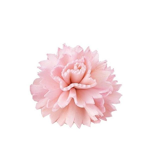 【商品番号：034-04111】/【VAR：4516】大地農園新商品201301/32761-100/4988489208505/cdid0010/fun-01/2015haha-35/milkypinkソラフラワー ソラカーネーション【大...