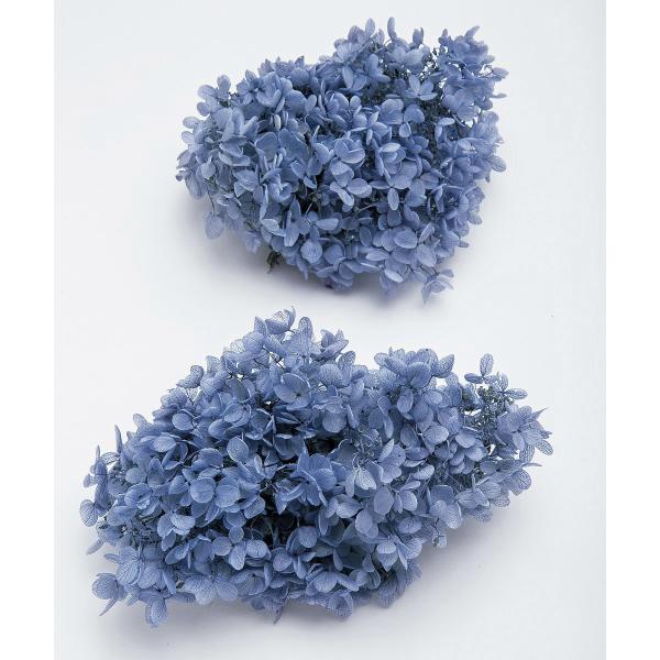 【商品番号：034-05349】/【VAR：1639】4988489218405/新商品2014年1月/sum2014/biridal_kikaku-24/16pa015/psum-003/bk-0024/17love003/bk-1024...