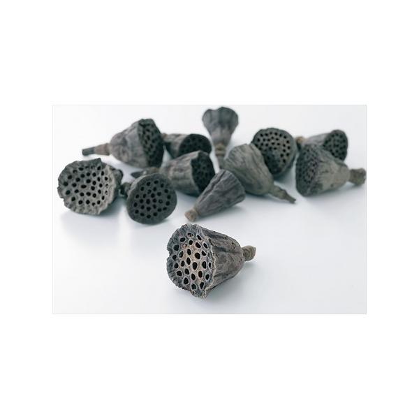 【商品番号：034-06275】/【VAR：4419】4988489235266/20150627new/xmas/16x-008ドライ実物＆フルーツ 木の実