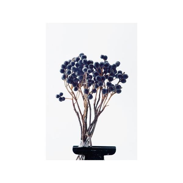 【商品番号：034-06466】/【VAR：】498848923721520170706new/bk-2045ドライ実物＆フルーツ その他【大地農園】