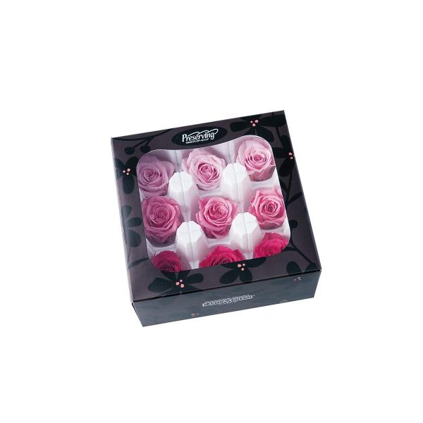 【商品番号：034-06619】/【VAR：54934】4988489158206/20160708new/color assort/bk-1022/assortpd19/bk-2022/16v-003/hahanohi/bk-3002/b...