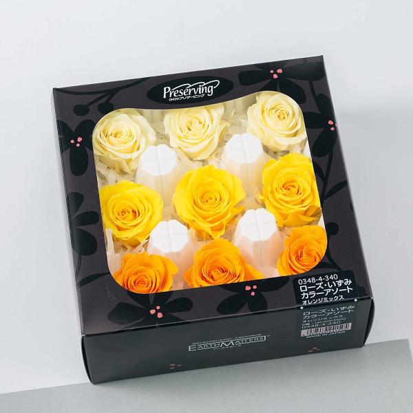 【商品番号：034-06620】/【VAR：54934】4988489241595/20160708new/color assort/18hwdp1/bk-1022/assortpd19/bk-2022/hahanohi/bk-3002/b...