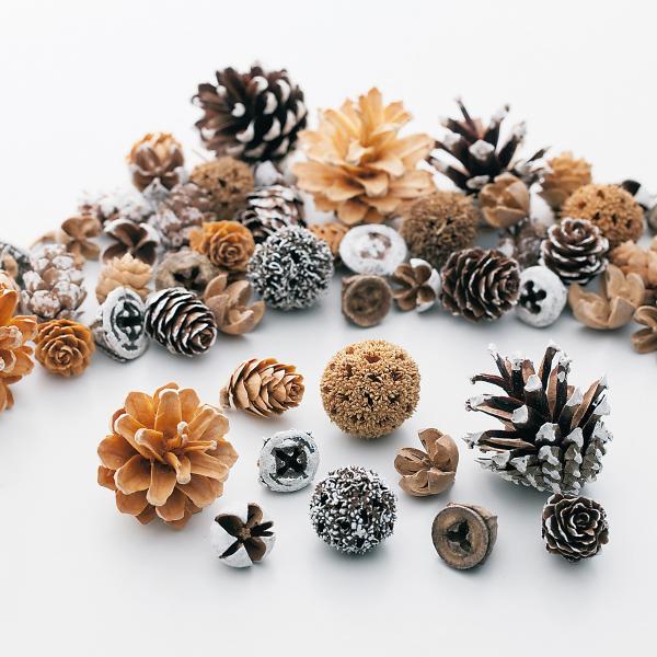 【商品番号：034-06677】/【VAR：22543】4988489240437/20180630new/assortpd19/bk-2045ドライ実物＆フルーツ 松かさ、から松