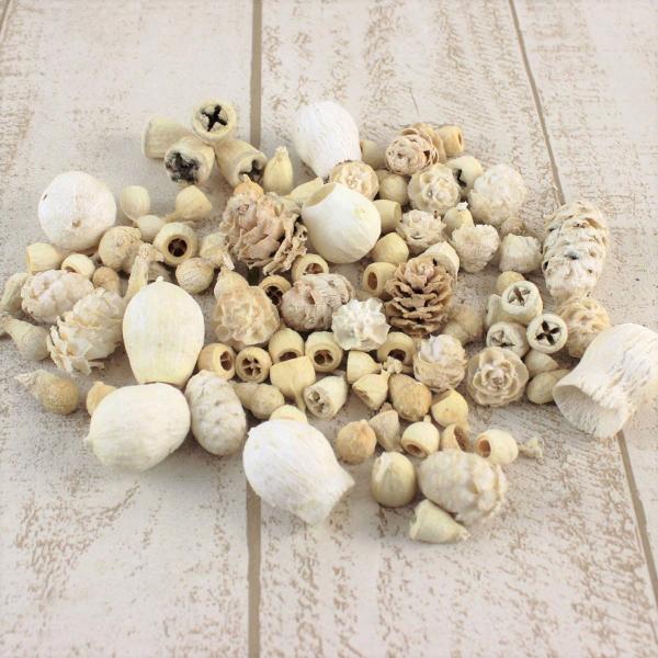 【商品番号：034-06679】/【VAR：34719】4988489241571/20160708new/16x-007/bk-2045ドライ実物＆フルーツ 木の実