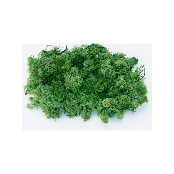 【商品番号：034-06826】/【VAR：1752】4988489243797/20170117new/bk-3017/bk-4008プリザーブドグリーン モス・苔【大地農園】