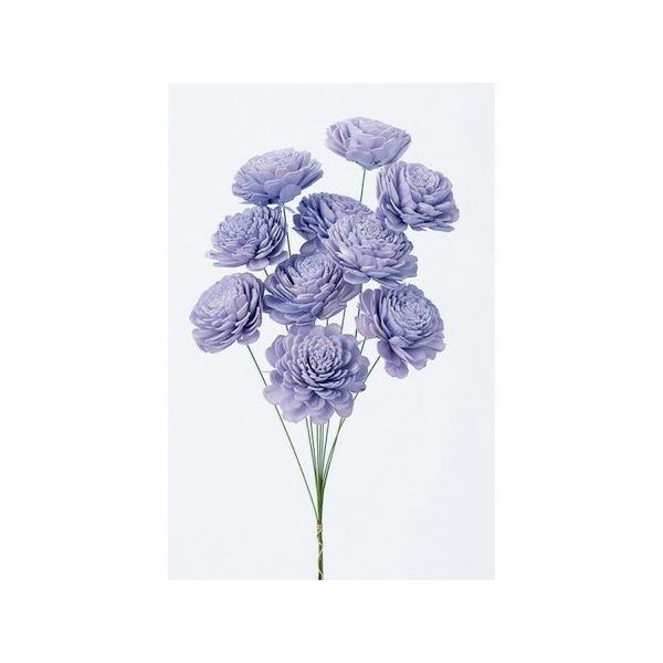 【商品番号：034-06844】/【VAR：65618】4988489244473/20170117new/bk-3019ソラフラワー ソラローズ【大地農園】