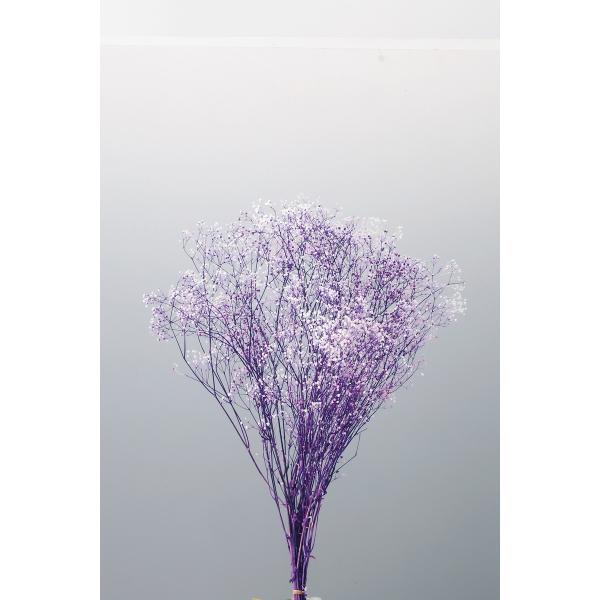 【商品番号：034-06936】/【VAR：1638】4988489248112/20170704new/18hwdp3/bk-3005プリザーブドフラワー花材 カスミ草【大地農園】