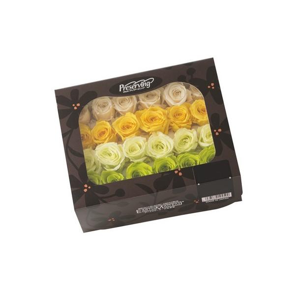 【商品番号：034-07132】/【VAR：4444】20180109new/bk-1021/assortpd19/bk-2021/15px-004/bk-3001/bk-4001プリザーブドフラワー花材 バラ（ローズ）【大地農園】