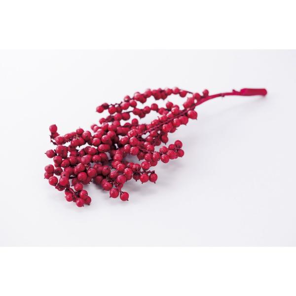 【商品番号：034-07524】/【VAR：54610】4988489262439/20180701new/15pny-006ドライ実物＆フルーツ 木の実【大地農園】