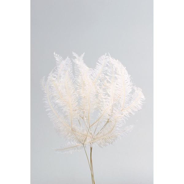 【商品番号：034-08170】/【VAR：65548】20200118new/shd-001/bk-3010/bk-3012プリザーブドグリーン 葉物