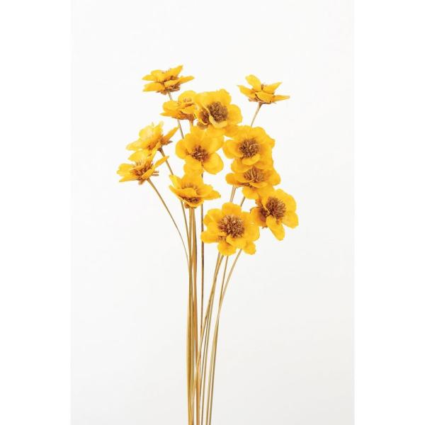 【商品番号：034-08252】/【VAR：13143】20200118new/bk-3019/bk-5009ソラフラワー その他ソラフラワー【大地農園】