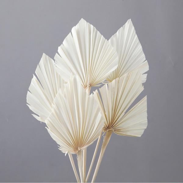 【商品番号：034-08430】/【VAR：63105】20200605new/bk-2026/bk-4007ドライ葉物 リーフ【大地農園】