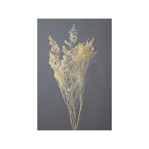 【商品番号：034-08542】/【VAR：17012】20201117new/2021春夏new/17love004/17love004/bk-3006/bk-5008プリザーブドフラワー花材 小花【大地農園】