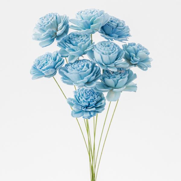 【商品番号：034-08705】/【VAR：4501】20210703new/bk-3019ソラフラワー ソラローズ【大地農園】