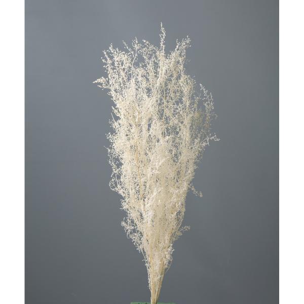 【商品番号：034-08776】/【VAR：18027】20220107new/17love004/bk-3006プリザーブドフラワー花材 小花【大地農園】