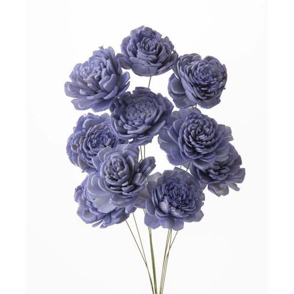 【商品番号：034-08973】/【VAR：4501】20230116new/bk-3019ソラフラワー ソラローズ【大地農園】