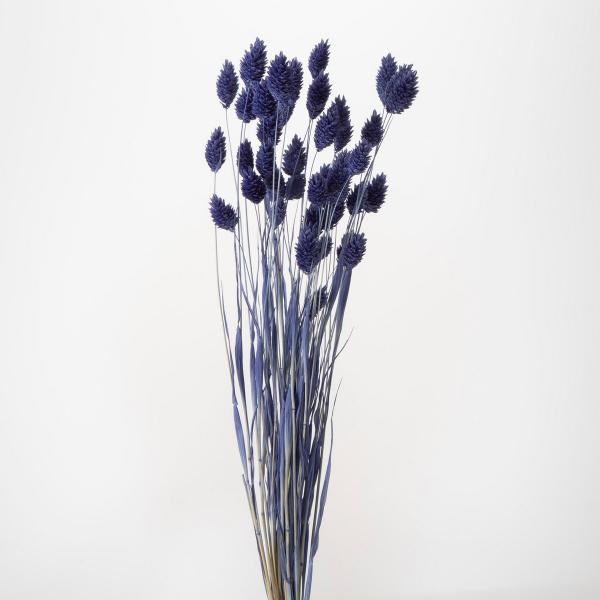 【商品番号：034-09125】/【VAR：4551】20230627newドライフラワー花材 ポアプランツ【大地農園】