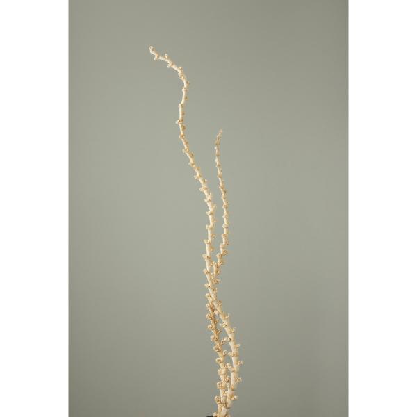 【商品番号：034-09139】/【VAR：67664】20230627new/color20230919ドライ枝物 塗り枝・サラシ・ドライ【大地農園】