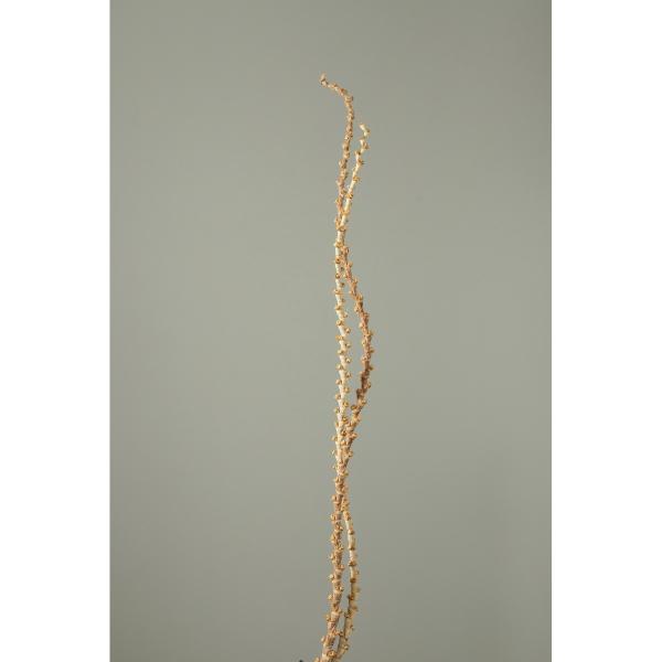 【商品番号：034-09140】/【VAR：18290】20230627new/color20230919ドライ枝物 塗り枝・サラシ・ドライ【大地農園】