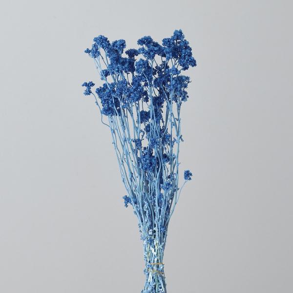 【商品番号：034-09246】/【VAR：1694】date20240123/bk-502ドライフラワー花材 その他ドライフラワー【大地農園】