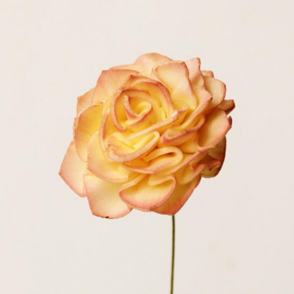 【商品番号：034-09325】/【VAR：77159】date20240311/999color10182ソラフラワー ソラダリア