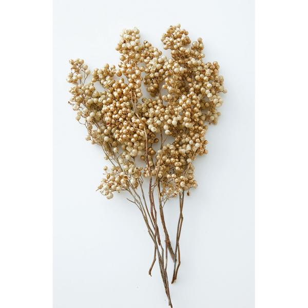 【商品番号：034-09362】/【VAR：4525】date20240722/999color10214/15px-002プリザーブド実物 ペッパーベリー【大地農園】